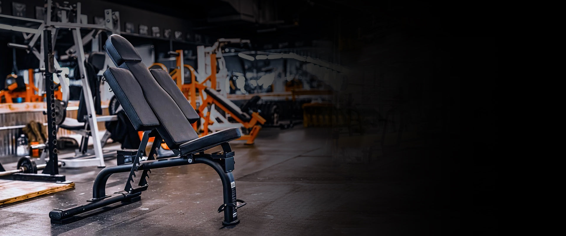 Wide Body Bench – WideBodyBench