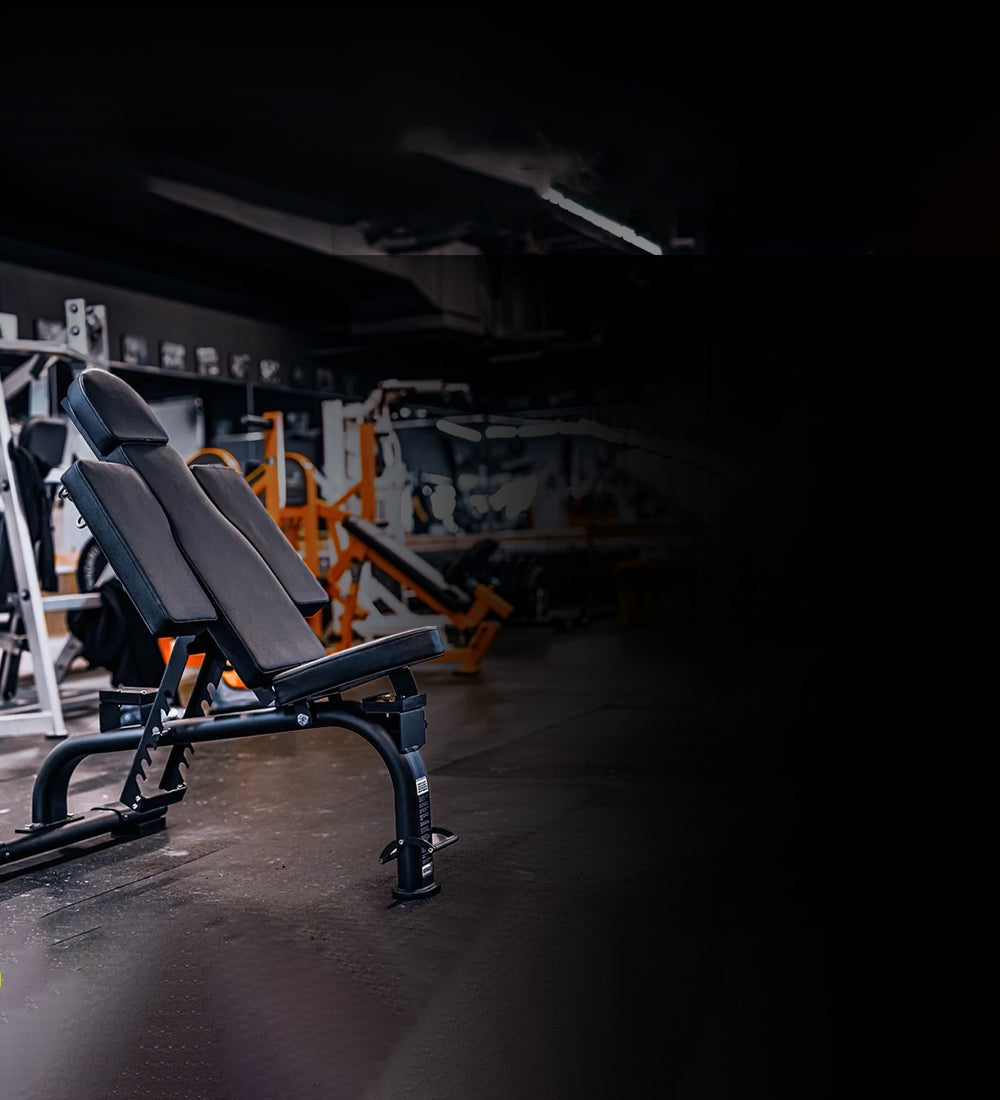 Wide Body Bench – WideBodyBench
